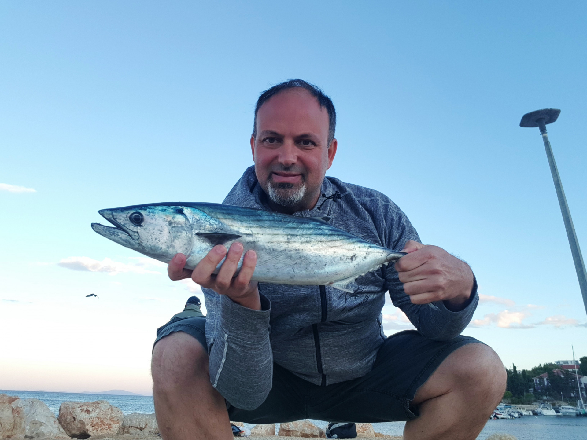 Marko Pintarić - Prva Markova palamida - Zadarski list