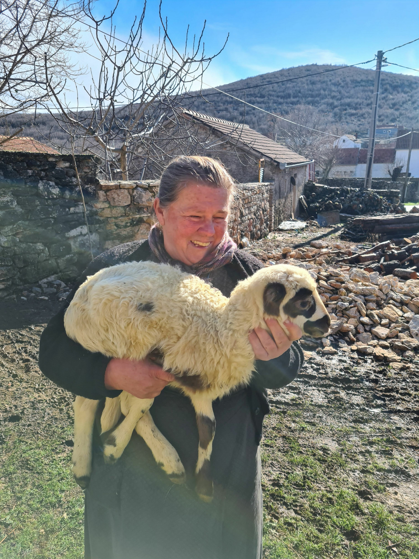 Janje bez uški seoska atrakcija - Zadarski list