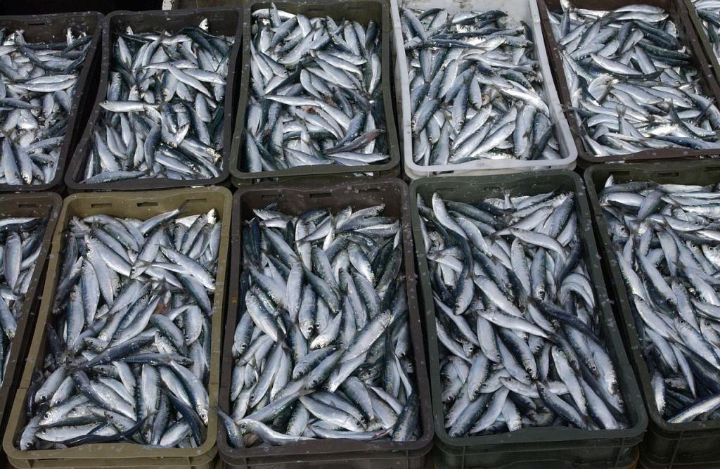 10 Milijuna Kuna Kredita Za Zeleno Poduzetni tvo Zadarske upanije 10 Milijuna Kuna Kredita Za Zeleno Poduzetni tvo Zadarske upanije