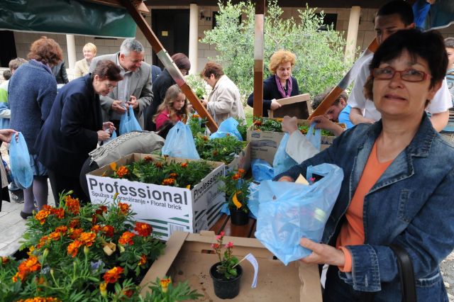 Cvijeće za Dan majki - Zadarski list