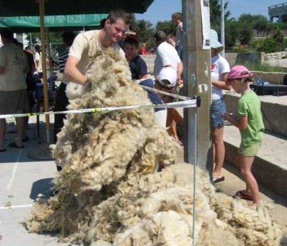 Propalo 100.000 tona vune - Zadarski list