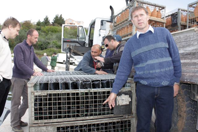 “Ralje” u Novigradskom moru - Zadarski list