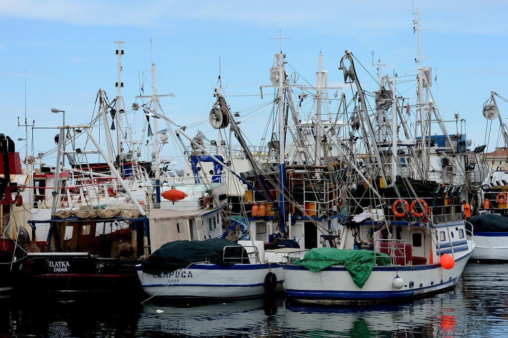 Ribari i školjkari žele loviti u zdravom moru - Zadarski list