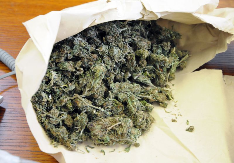 VELIKA AKCIJA POLICIJE 40 kilograma marihuane stiglo u BiH preko luke ...