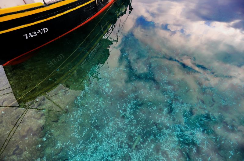 Jesenje ciklone ne puštaju ribare na more - Zadarski list