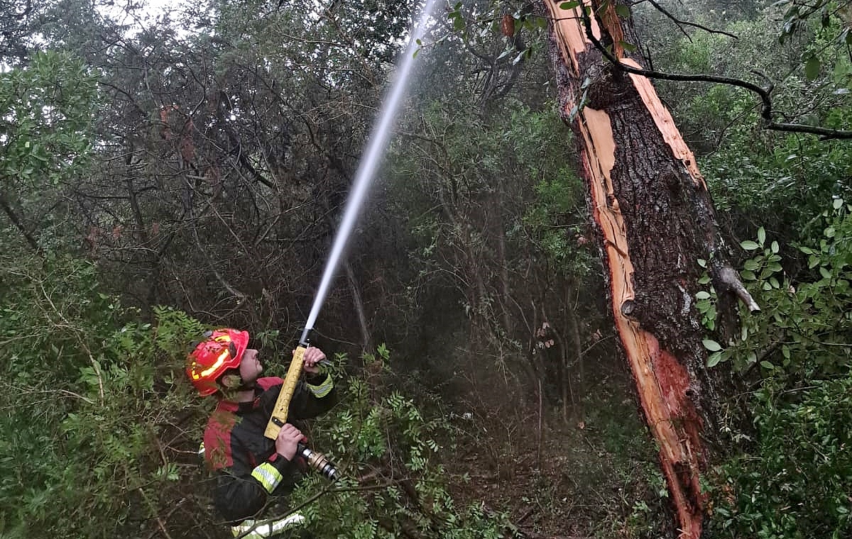Udar groma u Mulinama izazvao požar - Zadarski list