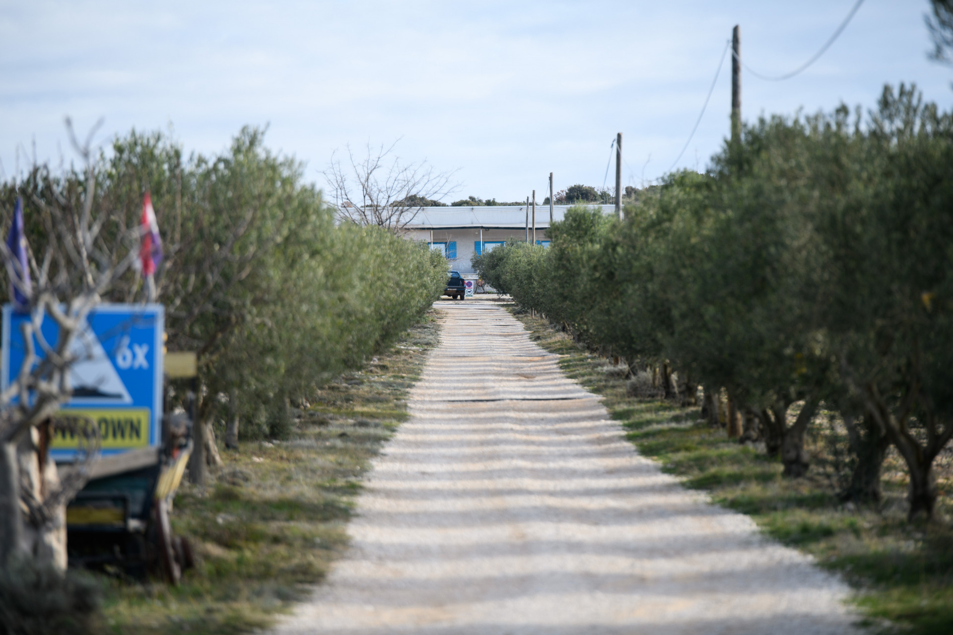 Kaznena prijava protiv čelnih ljudi zadruge MasVino zbog sumnje na prijevaru - Zadarski list