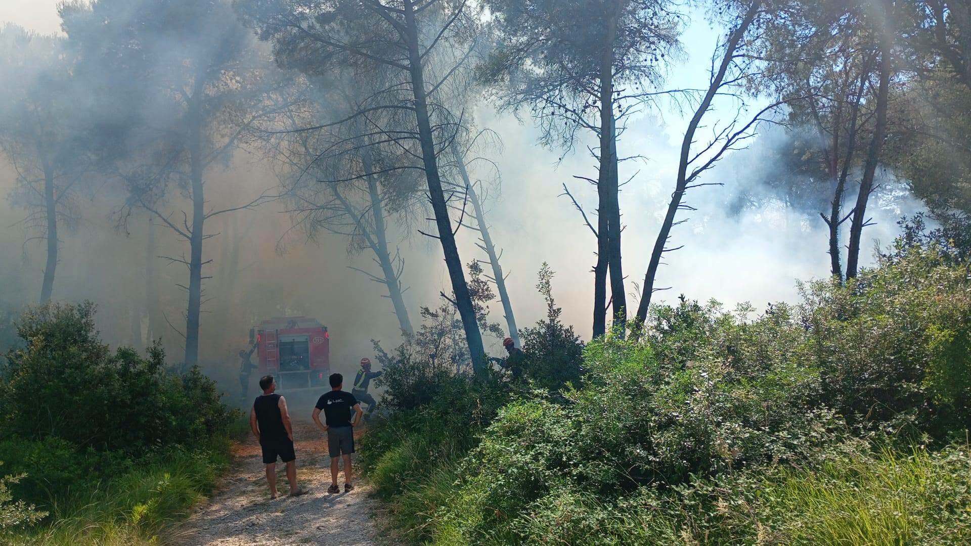 Izbio požar u blizini kuća u Kožinu, izgorjelo hektar i pol borove šume ...